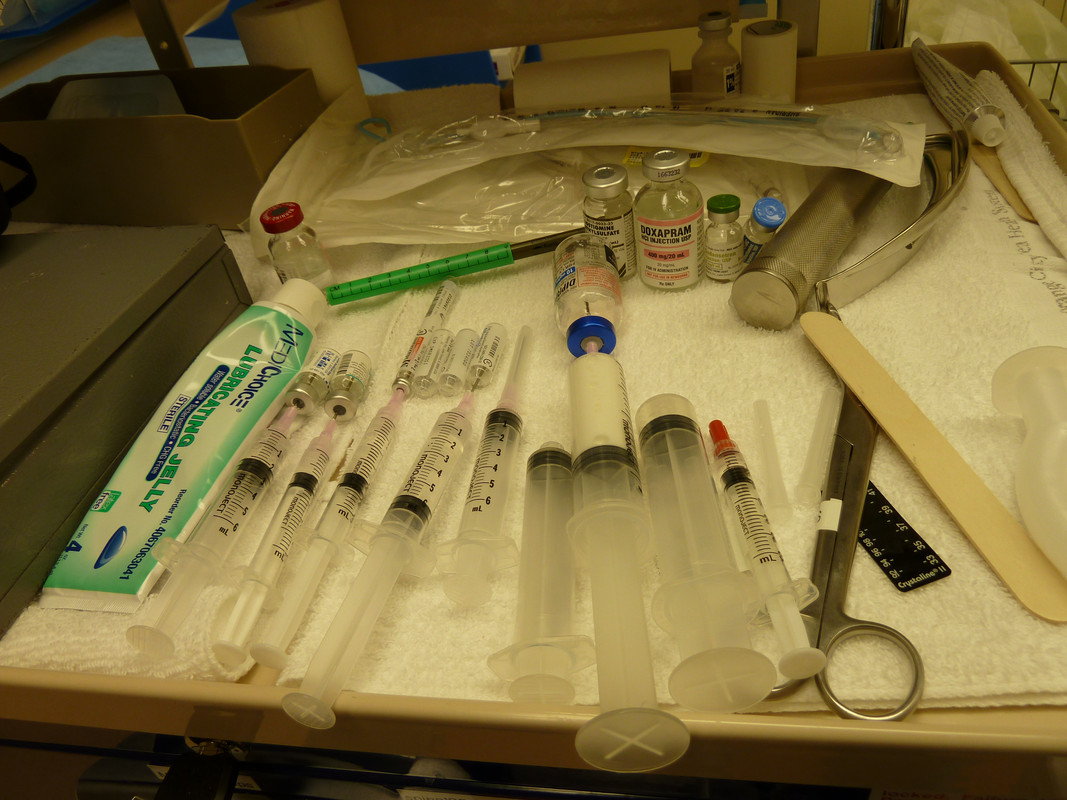 A0 A480 Dd 5247 449 D A0 Dc Ee6 B6 D104 Ce2 — Postimages