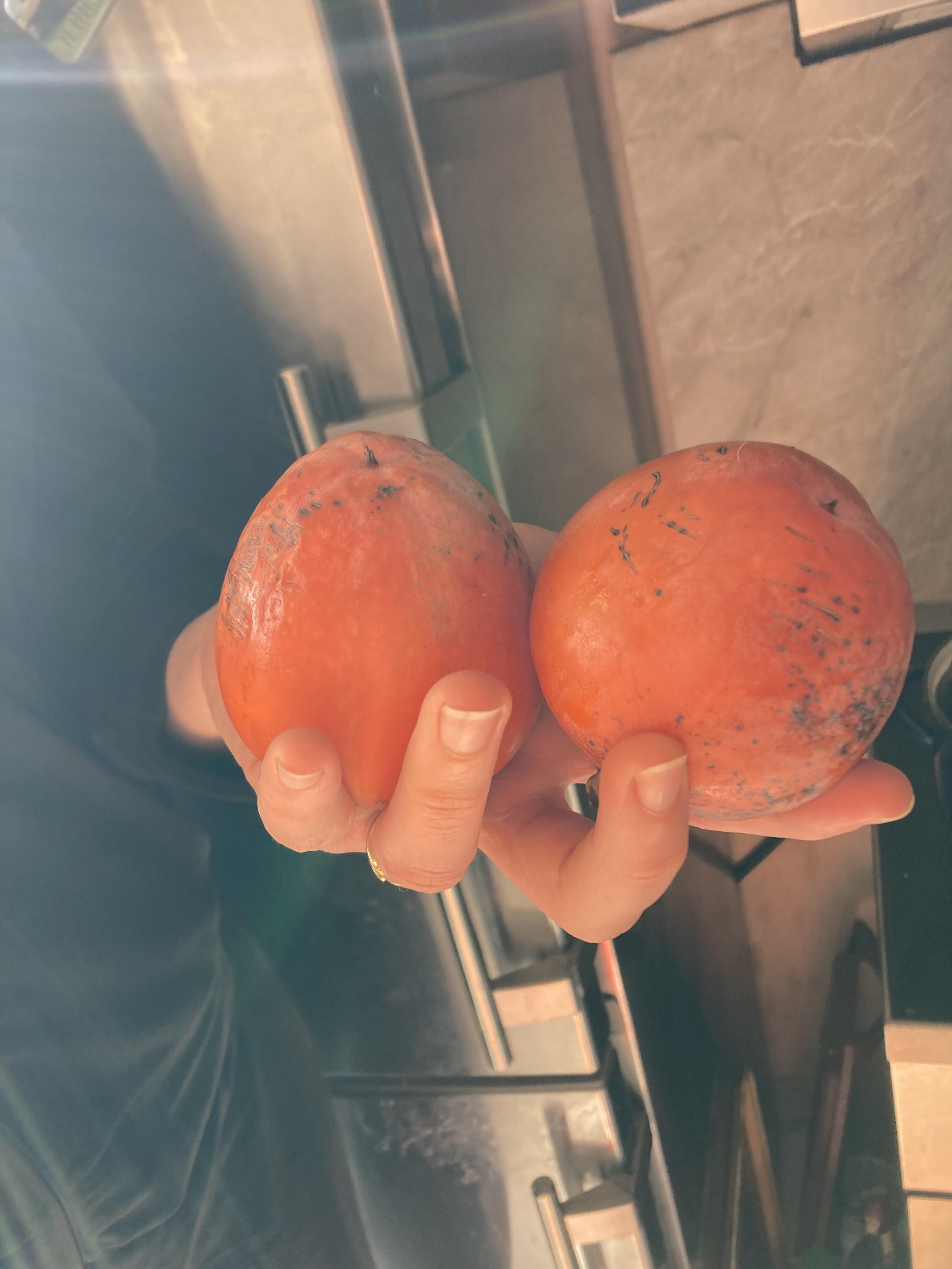 IMG 4975 — Postimages