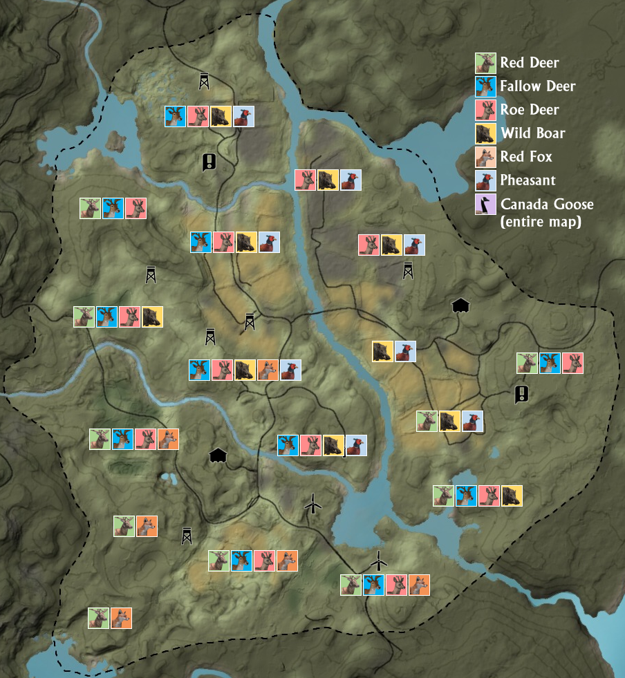 HF Animals — Postimages