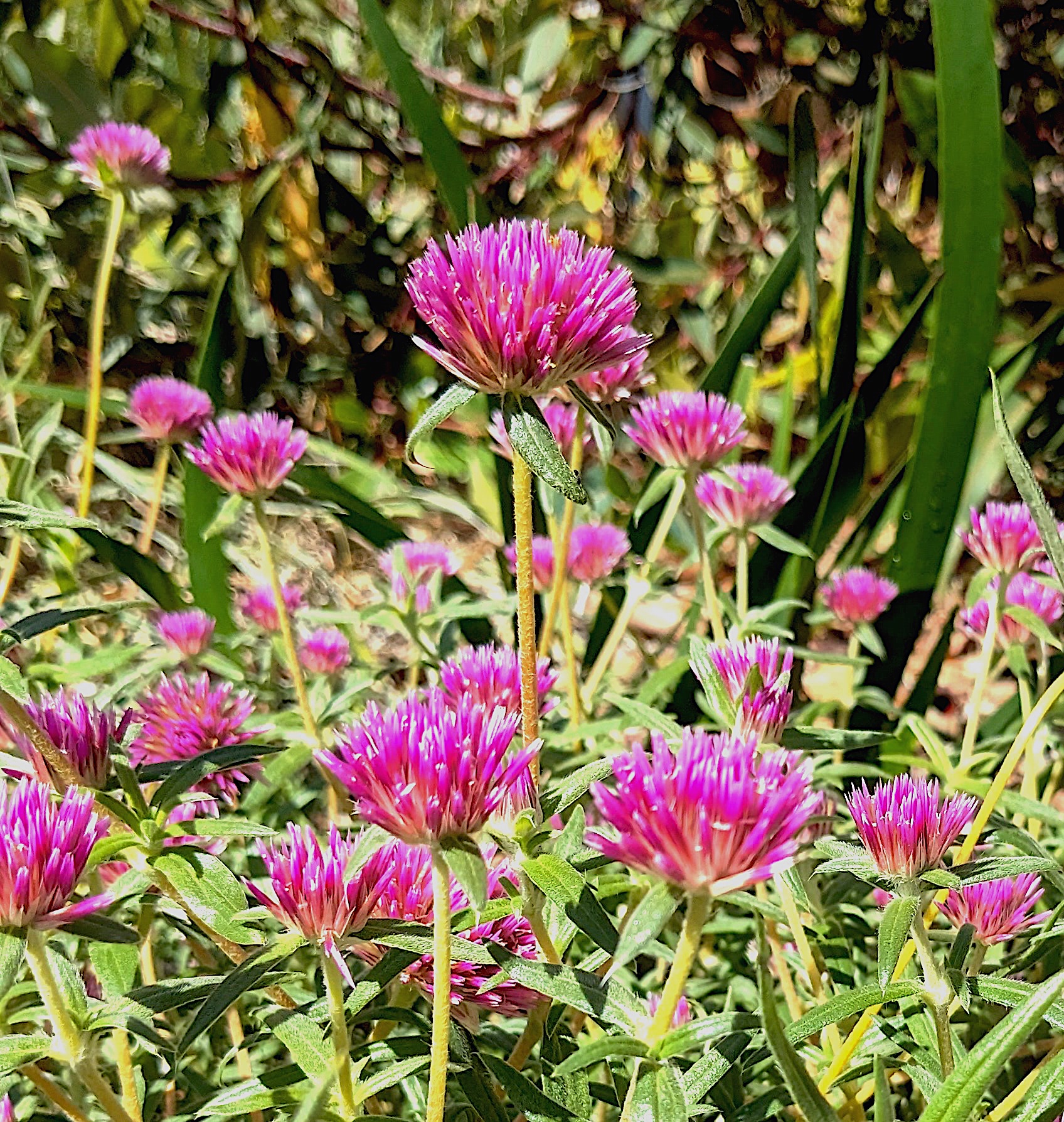 PXL 20240311 021920906 — Postimages