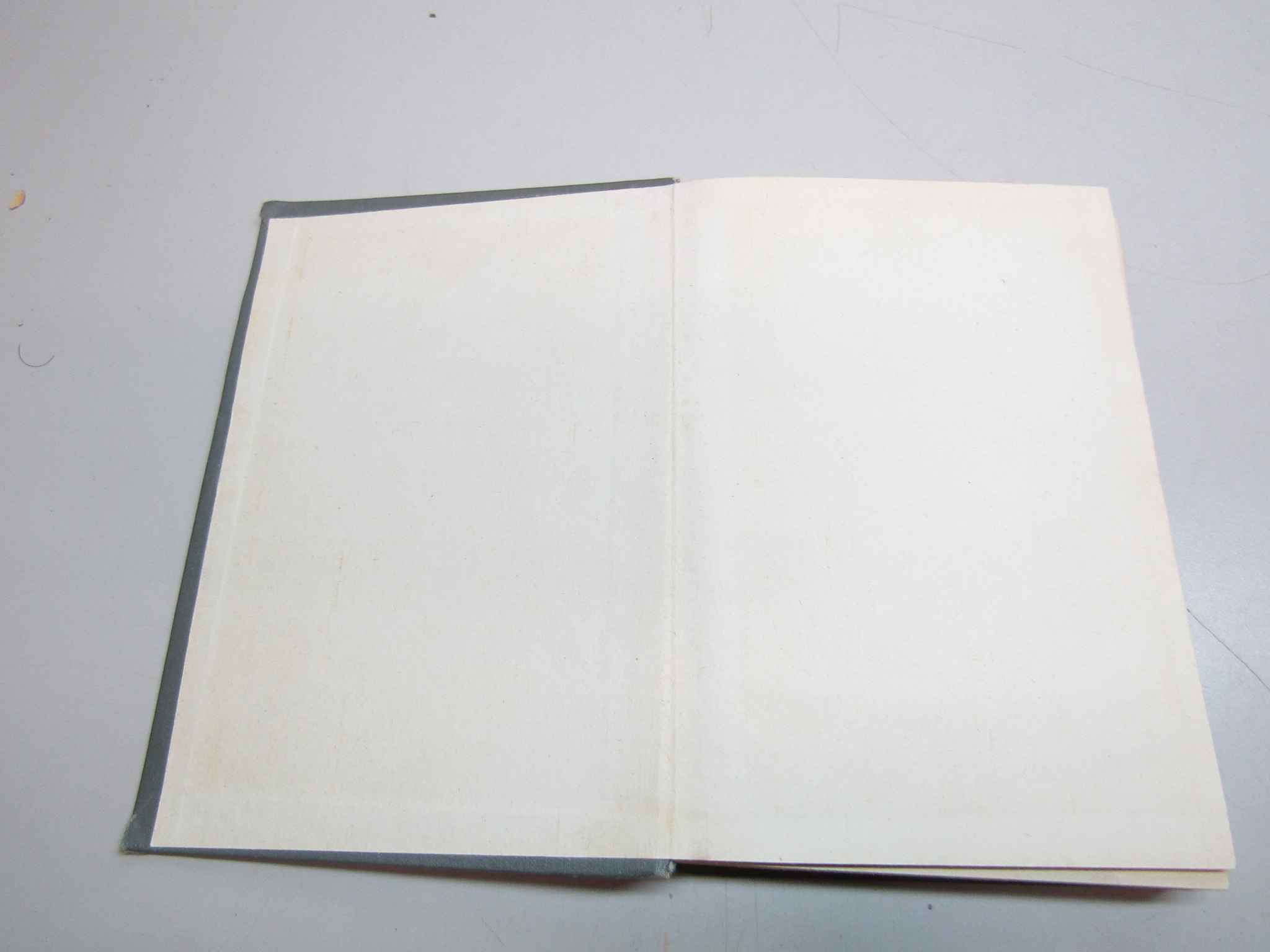 IMG 4538 — Postimages