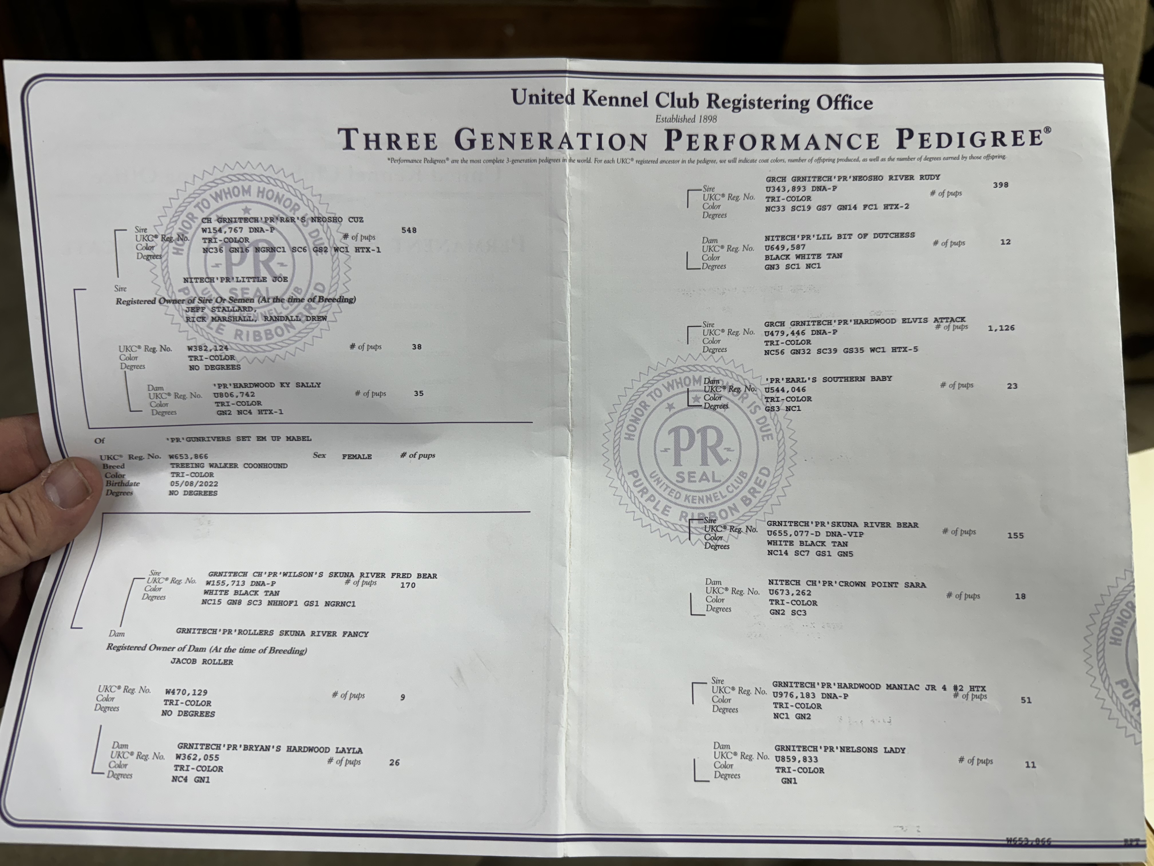 IMG 6023 — Postimages