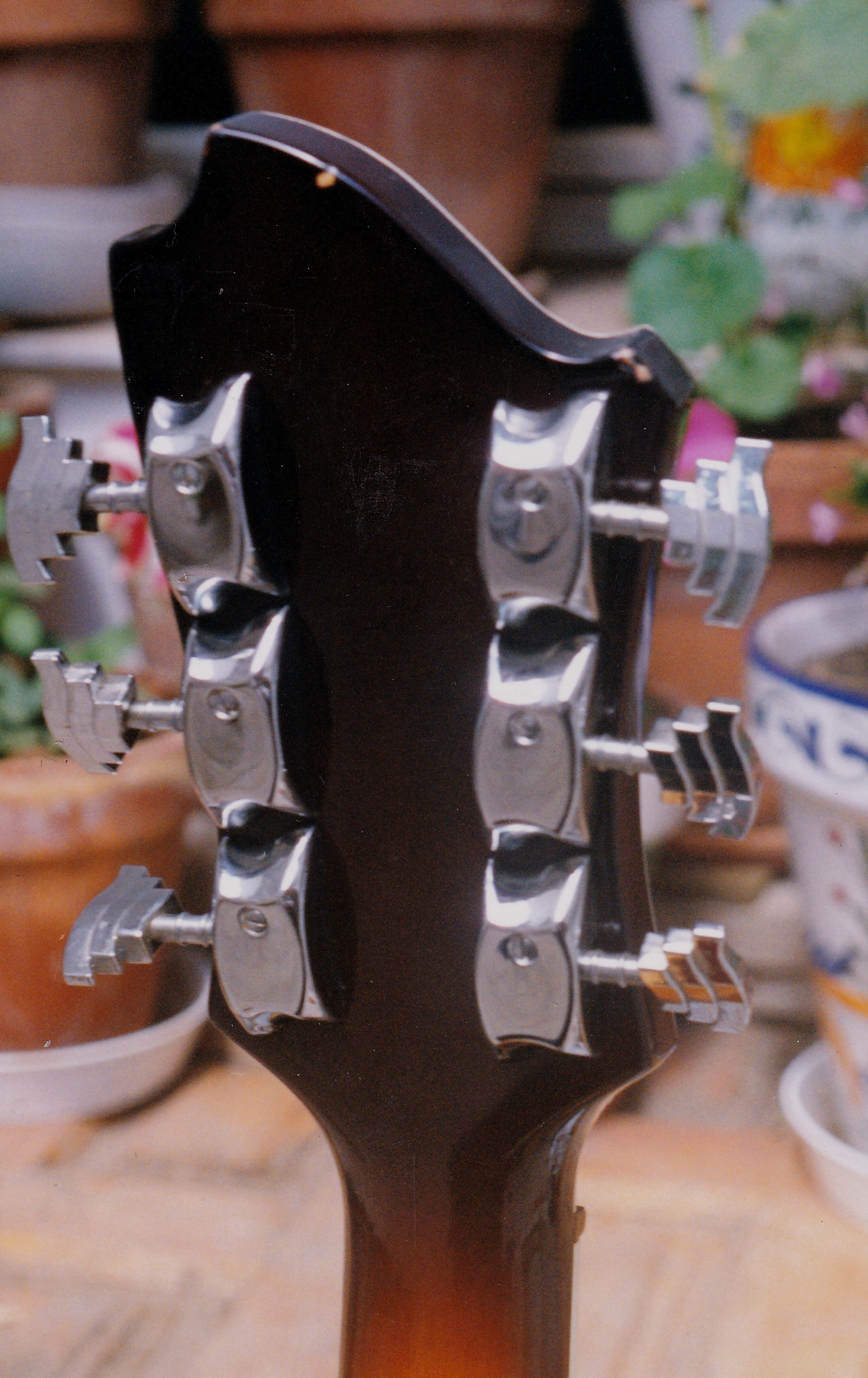 Pala back — Postimages