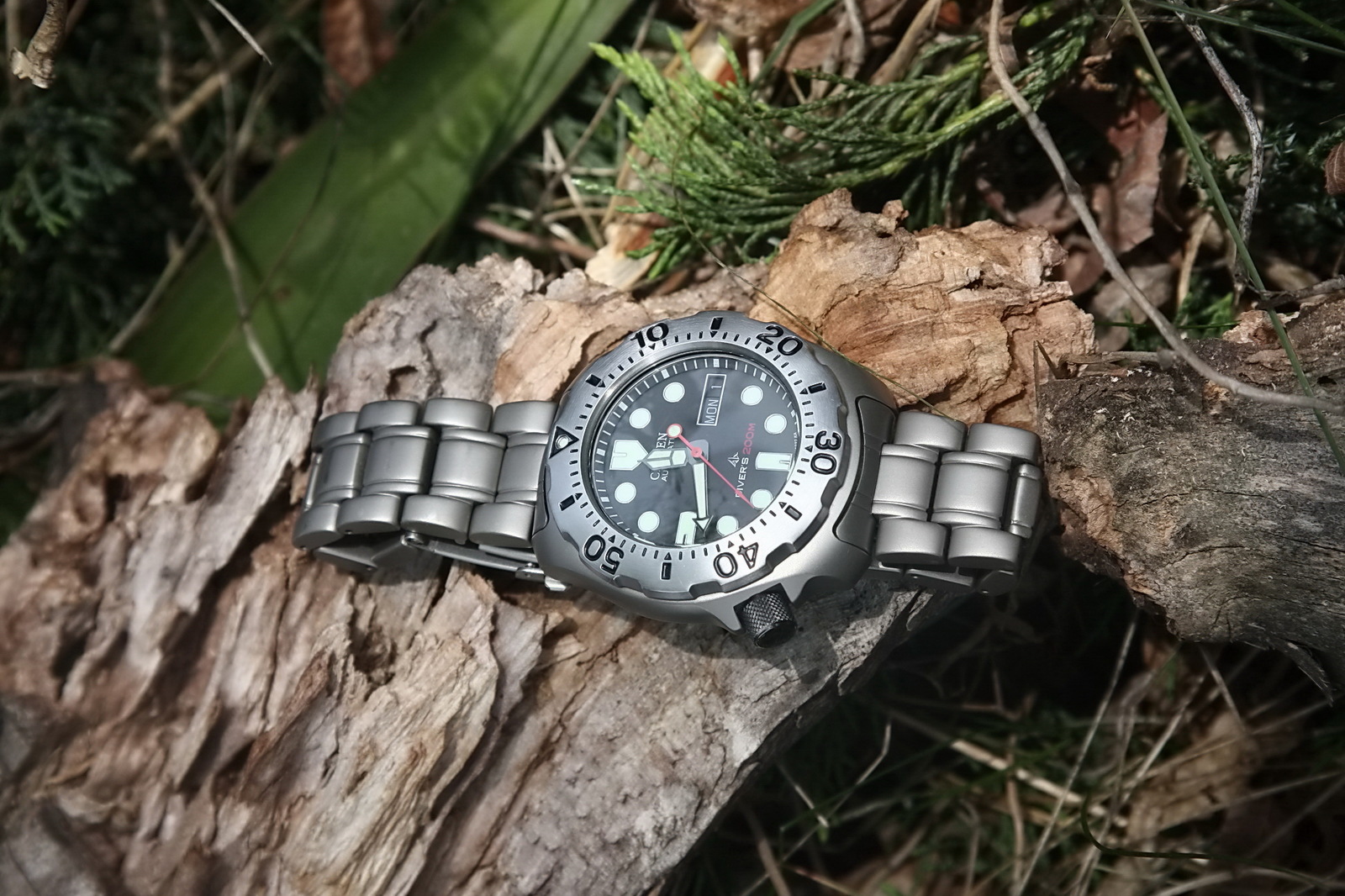 IMG 6485 — Postimages