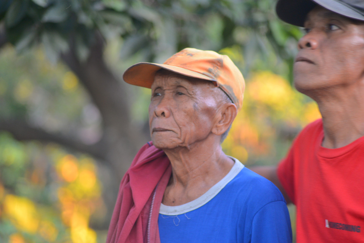 DSC 0397 — Postimages