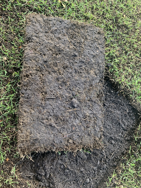 2 months and no rooting | Lawn Care Forum