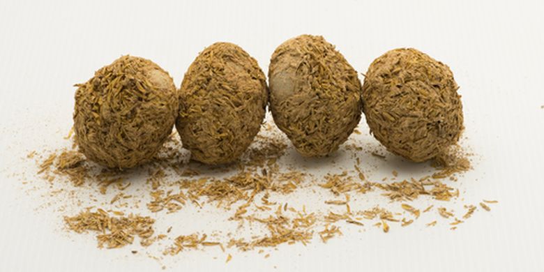 Telur Pitan - TribunnewsWiki.com