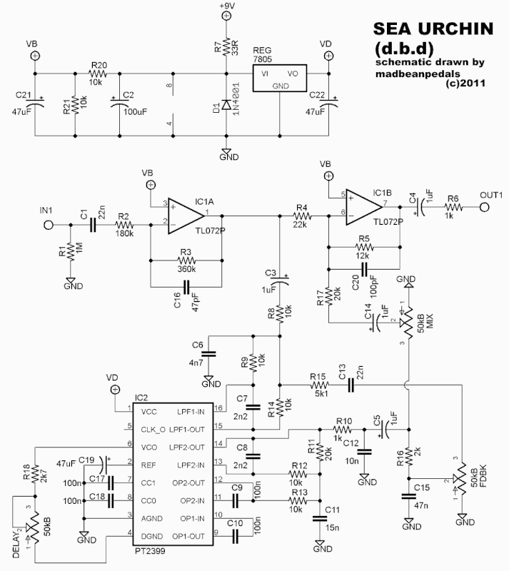 sea Urchin Schematic — Postimages