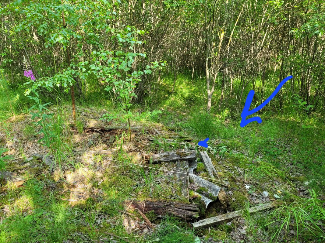 IMG 20230706 165256 367 — Postimages