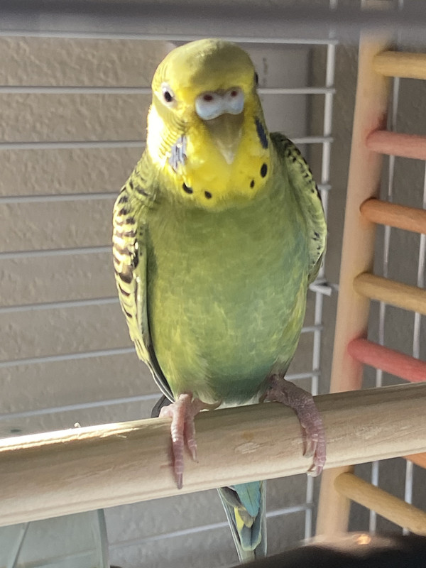 IMG 0355 — Postimages