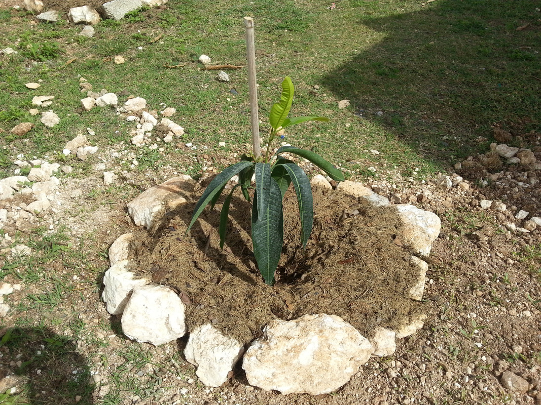 Pickering 1 June 14 — Postimages