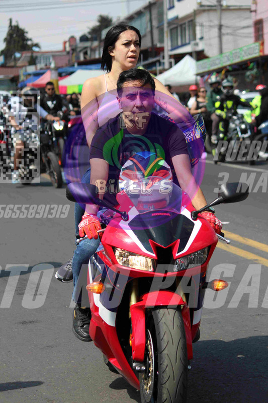 batch IMG 2956 — Postimages