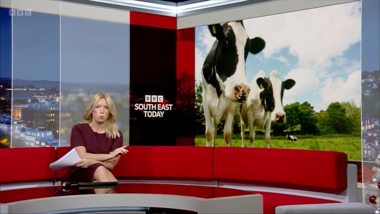 IMG 3604 — Postimages