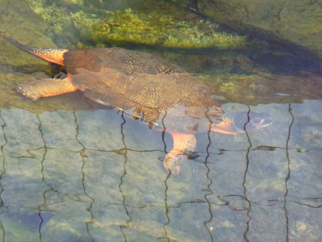 spring 2018 — Postimages