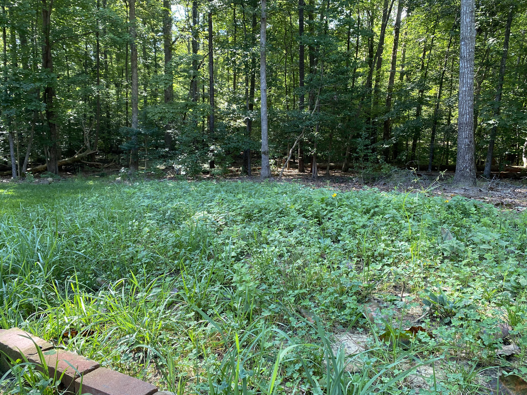 IMG 0403 — Postimages