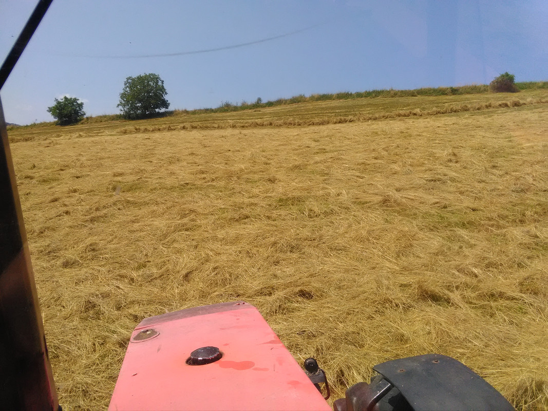 IMG 20230724 121221 — Postimages