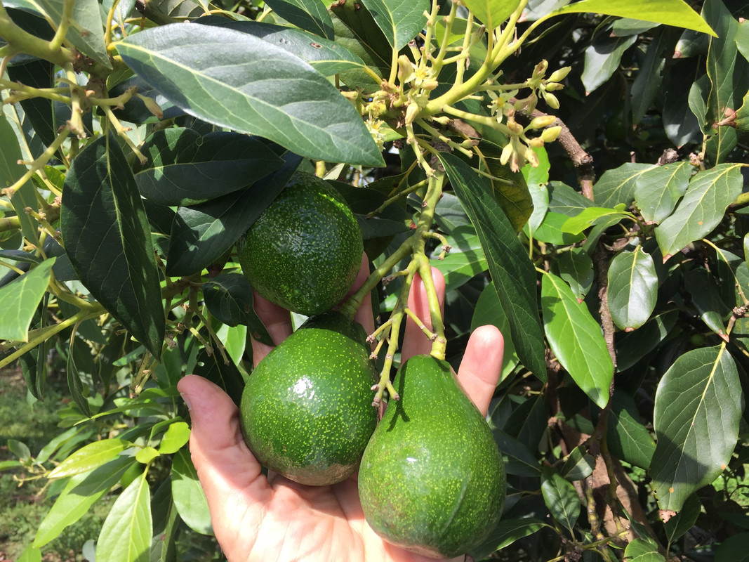 IMG 2227 — Postimages