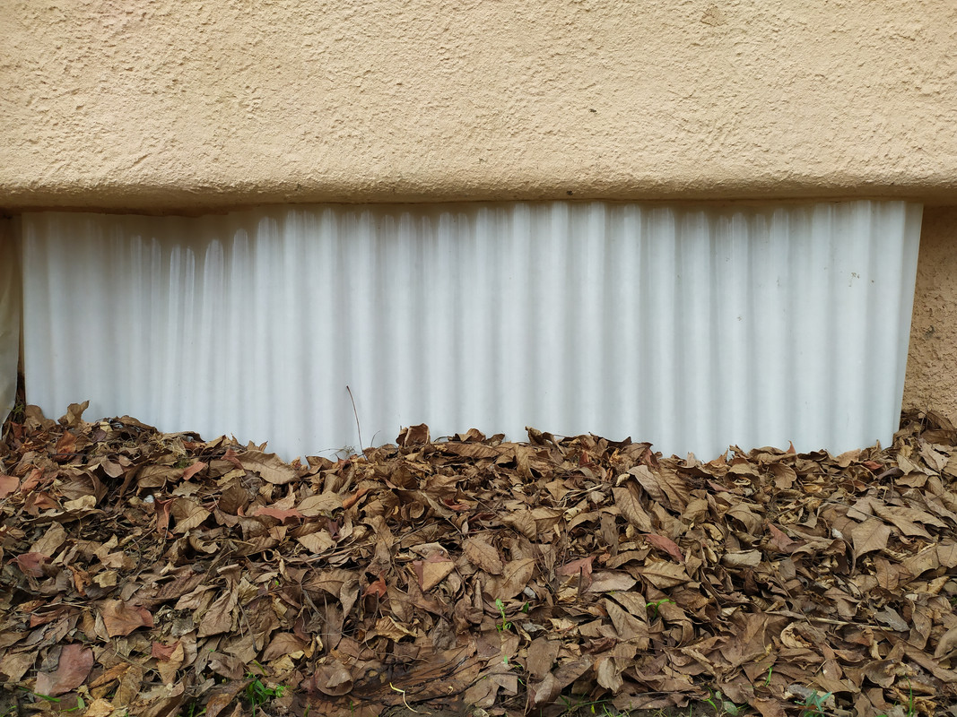 IMG 20230303 102455 — Postimages