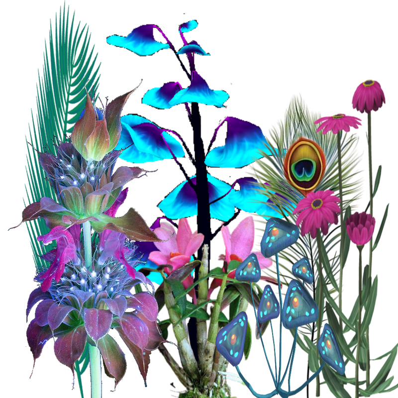 blank1lk — Postimages