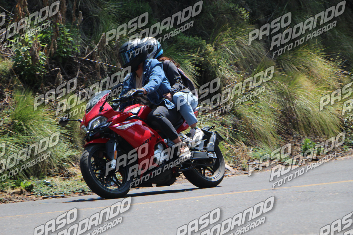 IMG 7588 wm 260973 40000000014 watermarked — Postimages