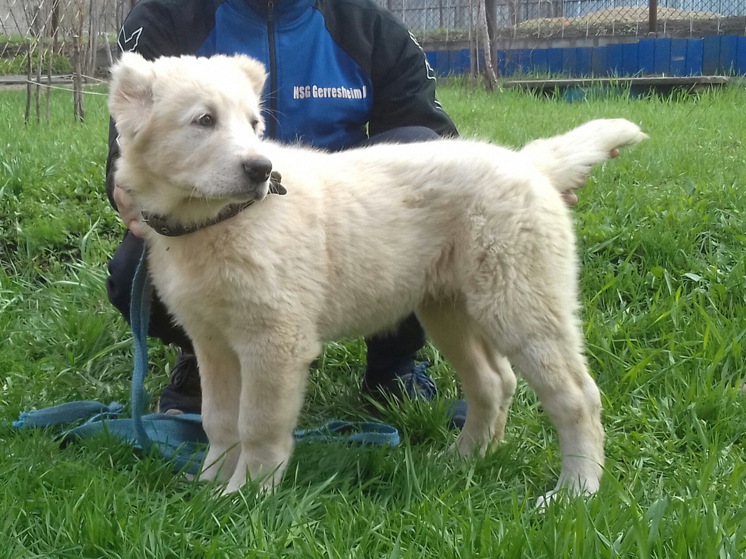 20220501 162237 1 — Postimages