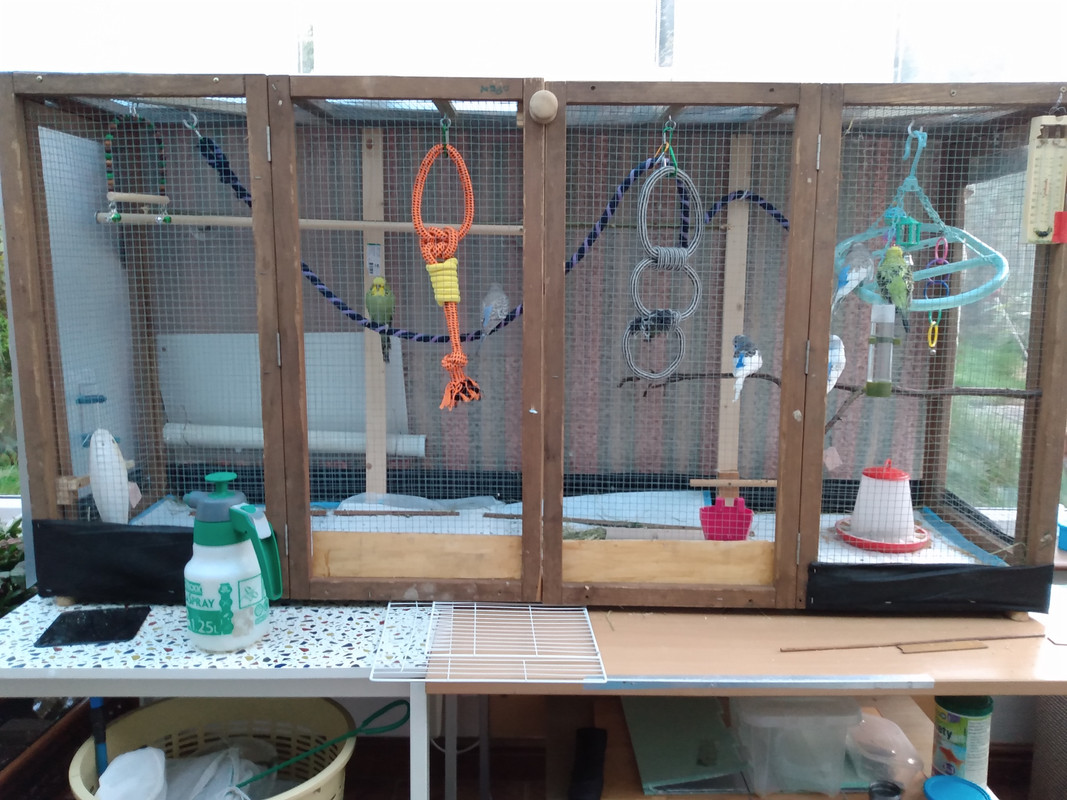 IMG 20231016 180726173 — Postimages