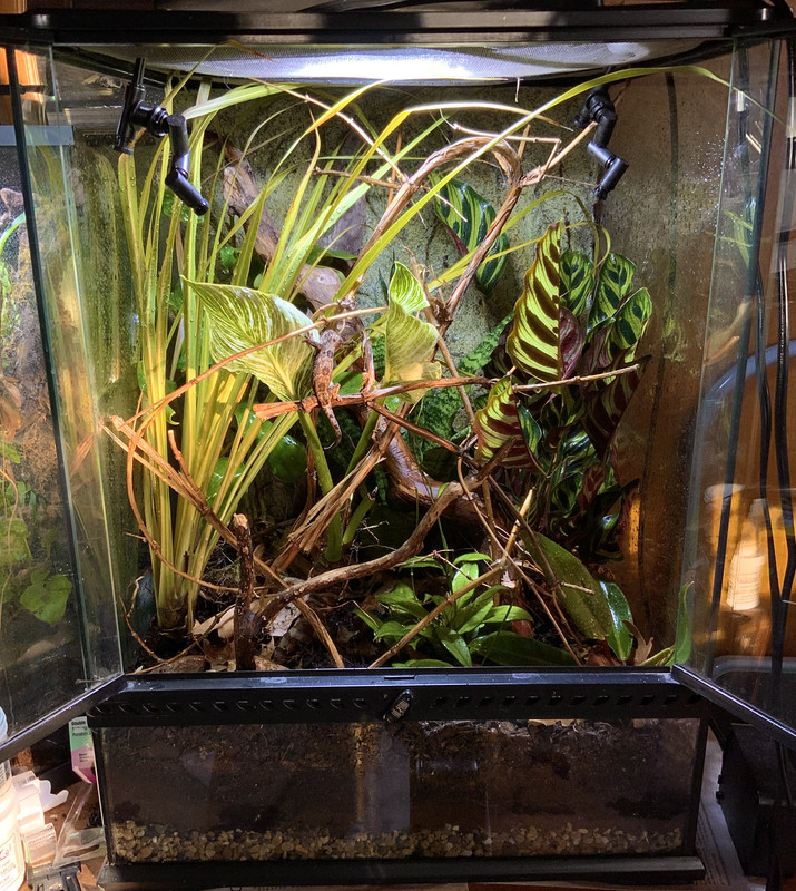 IMG 6612 — Postimages