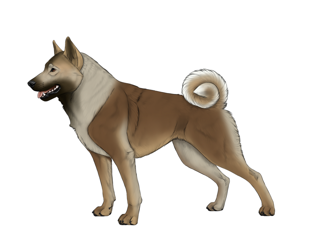 Custom Spitz 2 — Postimages