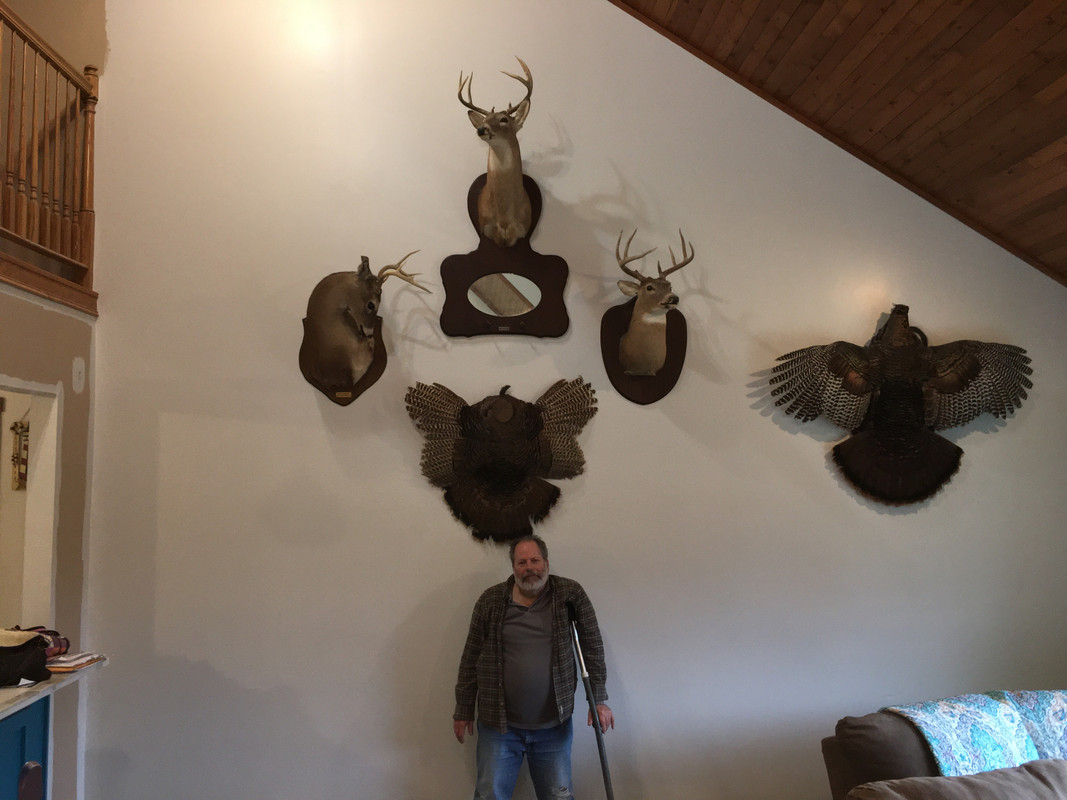 Hunters: do you prefer European mounts or shoulder/taxidermied mount ...