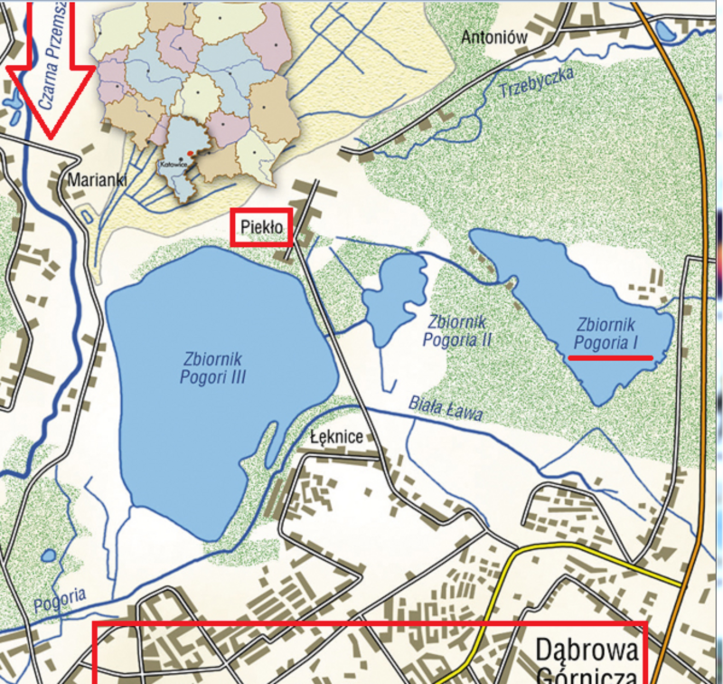 "Pszczółki Jolity" - czyli Miodowo Pod Dobrą Nadzieją... - Strona 764 ...