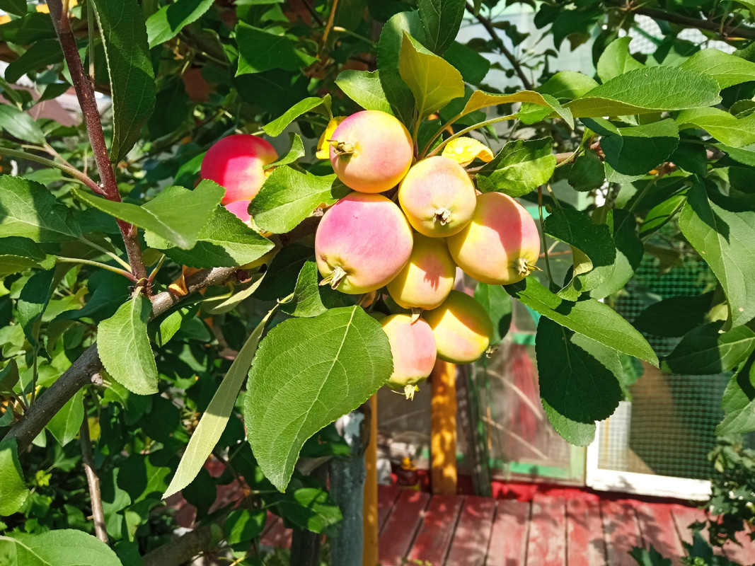 r S8 Xh7 XYet U — Postimages