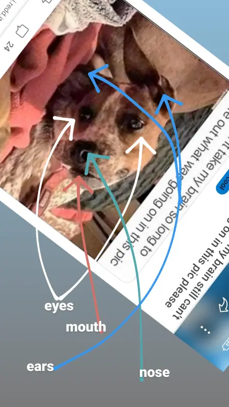 IMG 20231006 202722 486 — Postimages