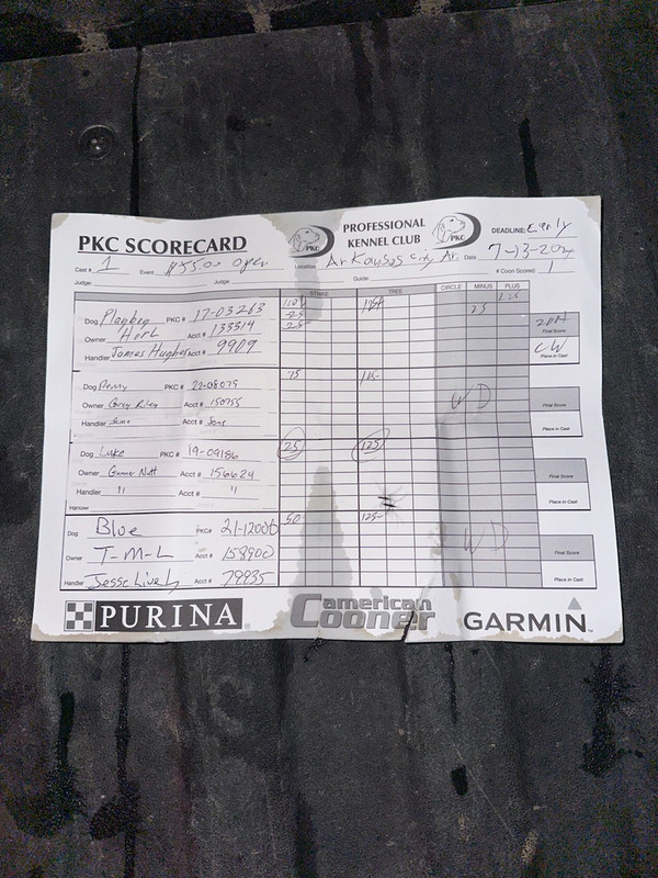 IMG 3877 — Postimages