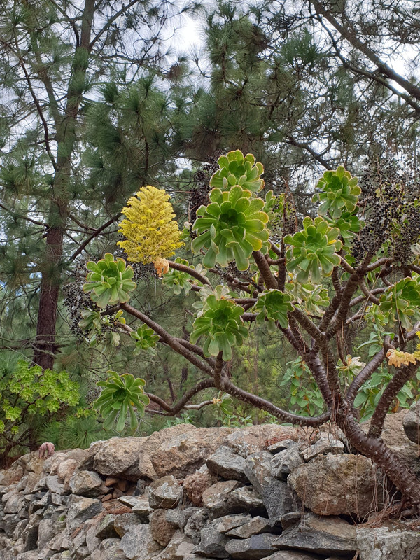 IMG 20240213 WA0003 — Postimages