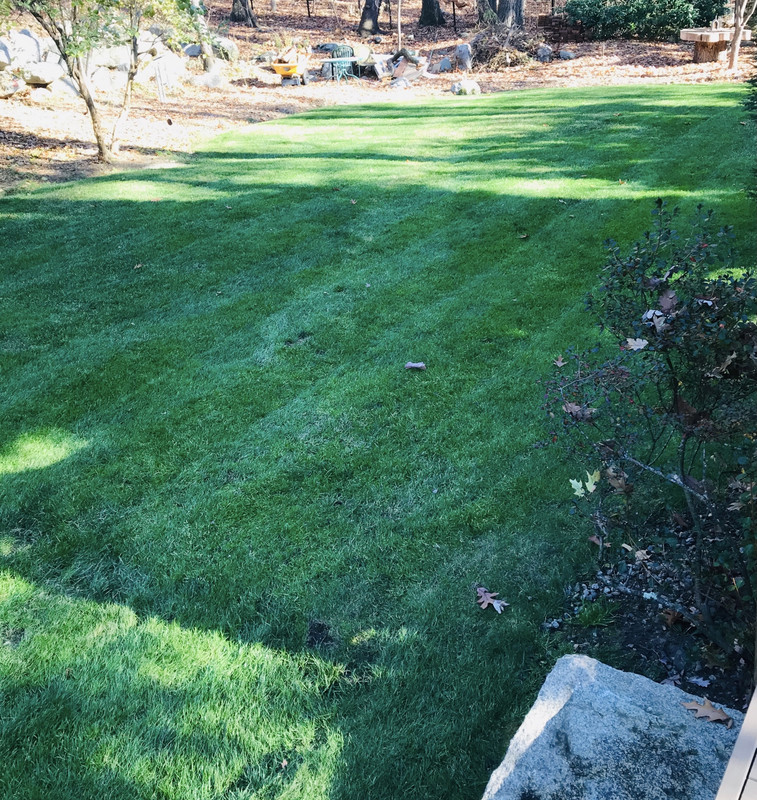3 Different Lawns | Lawn Care Forum