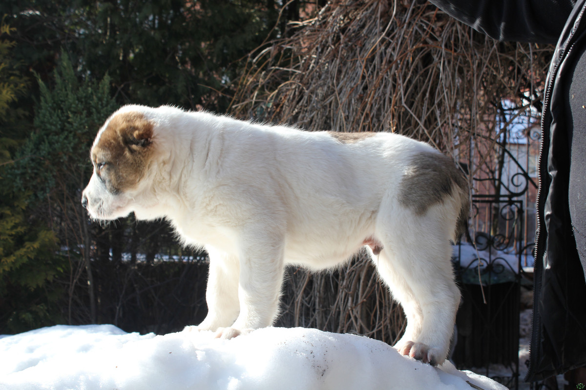 IMG 2575 — Postimages