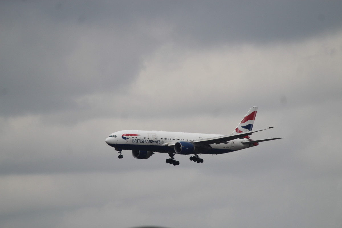 IMG 1019 — Postimages