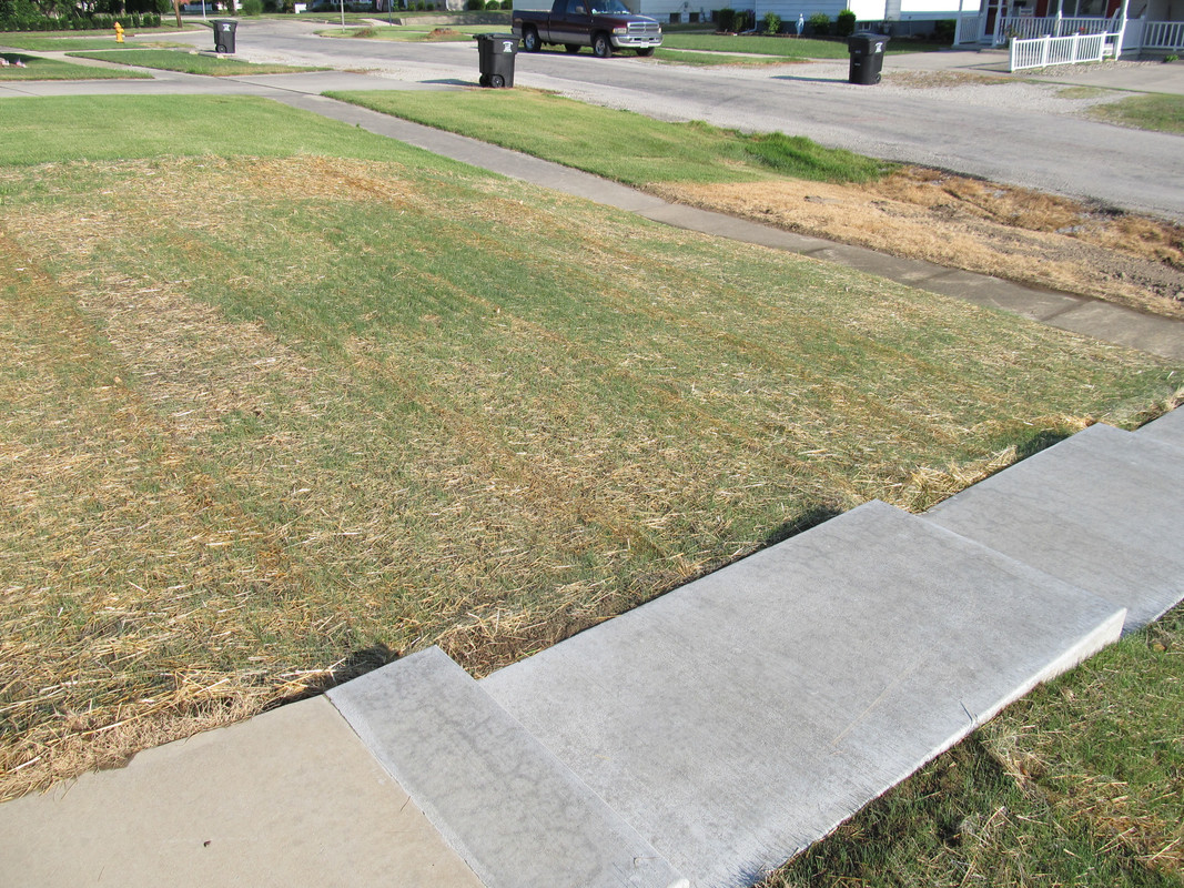 IMG 1848 — Postimages