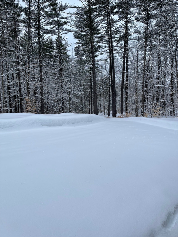 Snowpockacylipicsic bomb cyclone (Manchester, Plymouth, Tilton: shop ...