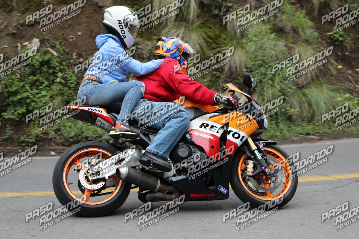 IMG 7795 wm 244191 09999999998 watermarked — Postimages