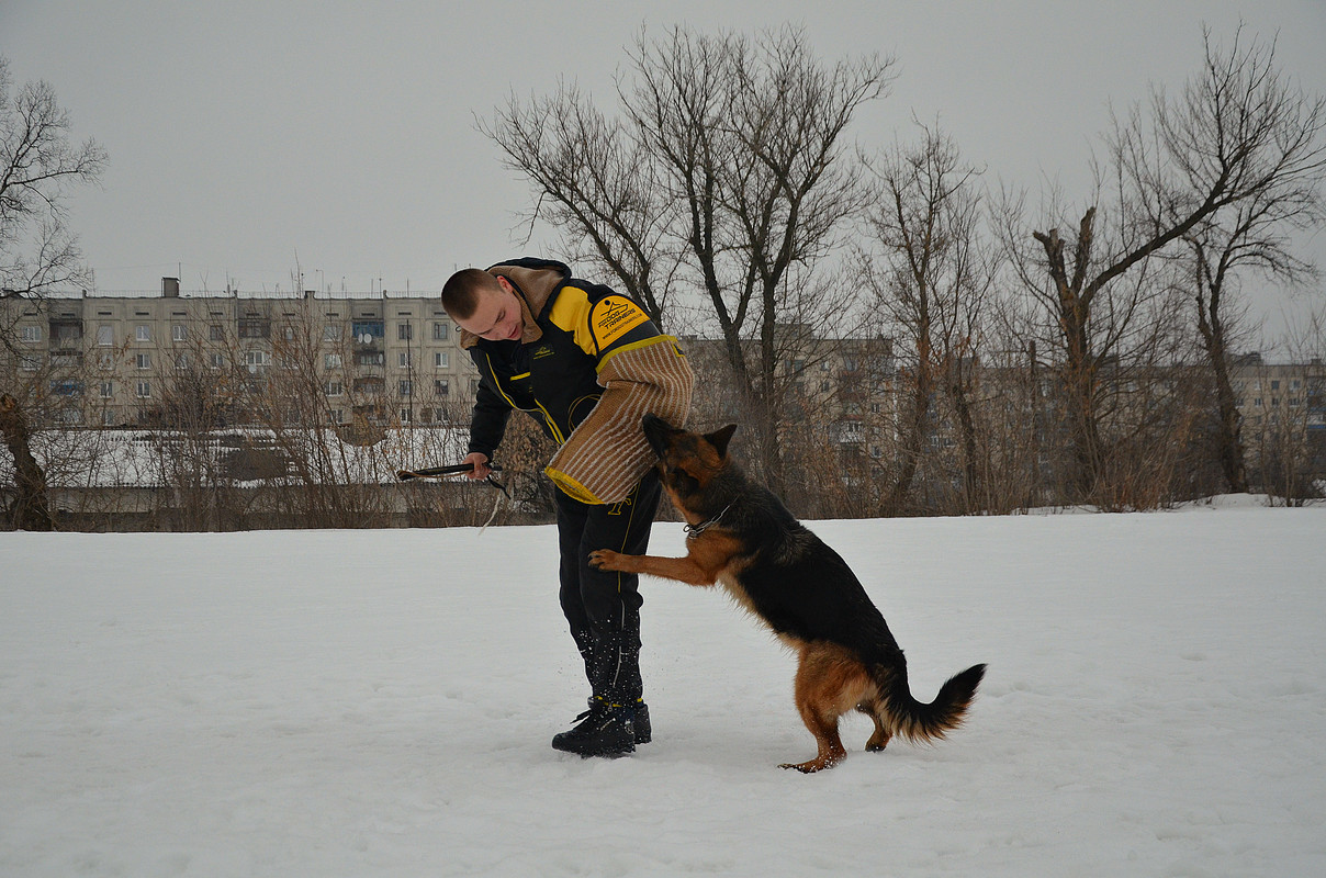 эля 34 — Postimages