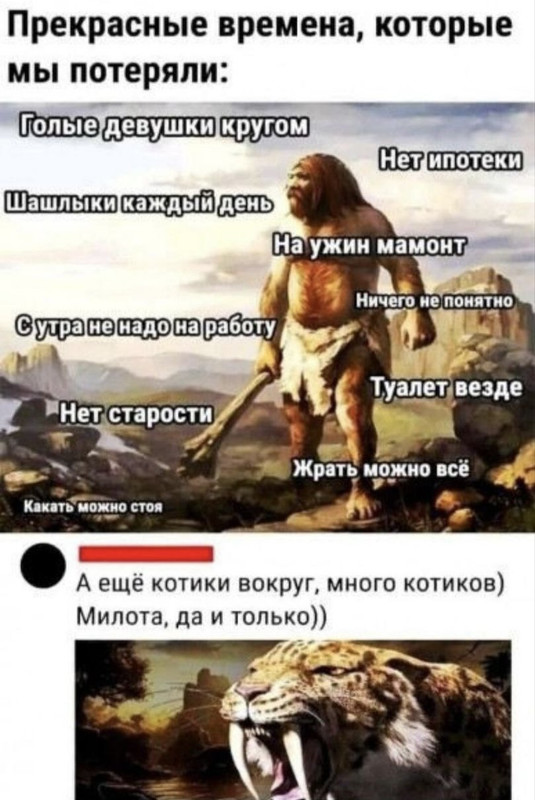 IMG 2191 — Postimages