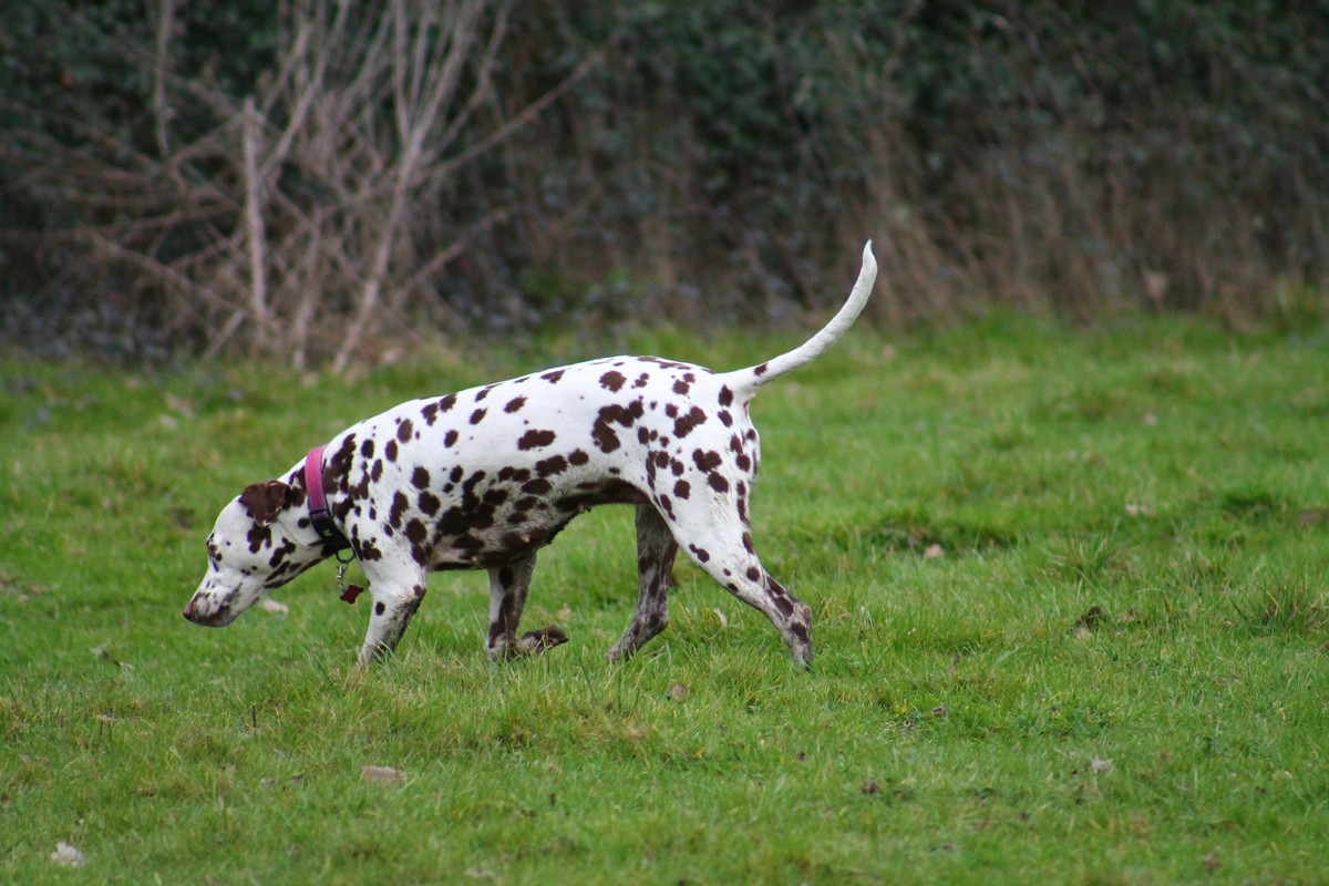 220225 (27) — Postimages