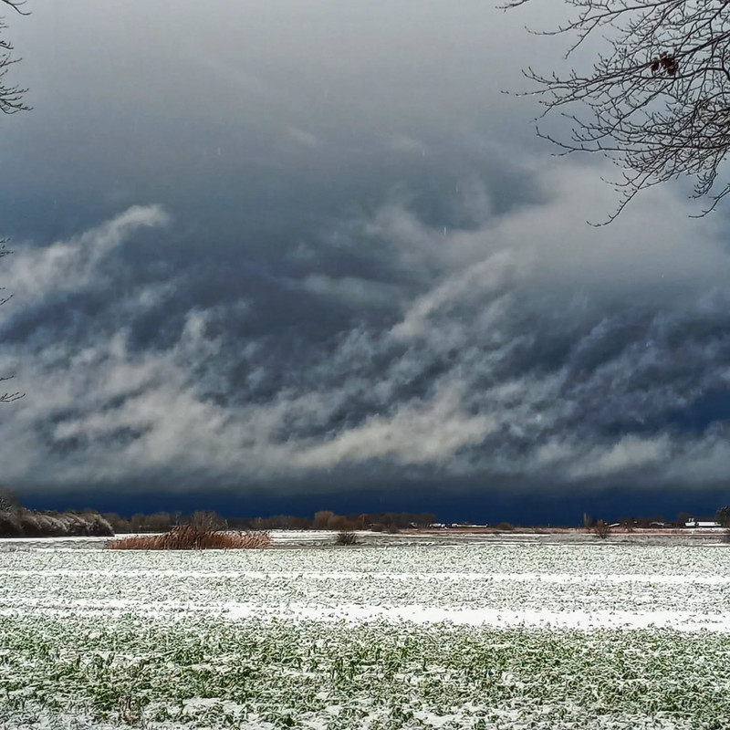 winterwonderland - Een Hondenleven