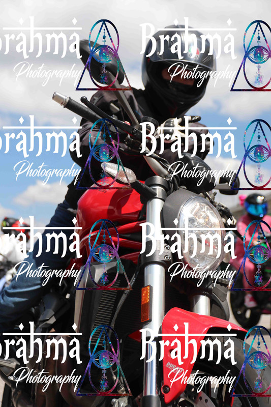 IMG 3337 — Postimages