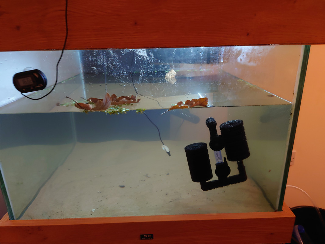 DSC 0252 — Postimages