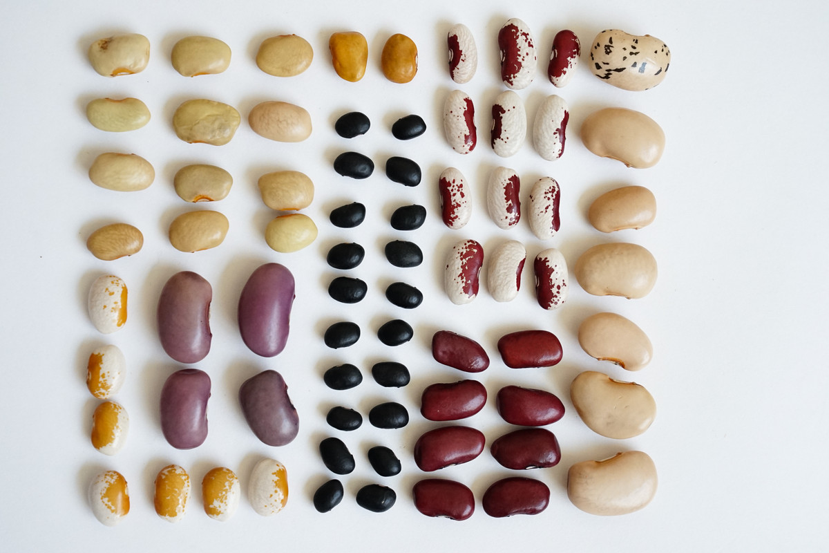 lacomandanta da 233 — Postimages