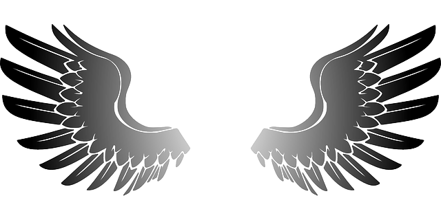 wings 149284 640 — Postimages