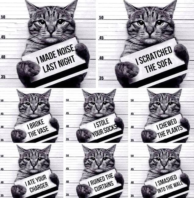 ^ C61799 CDEC41 C689398 C4 DCB8 F3 F8 A46 EDE9 E2 C7 B628 ABA — Postimages