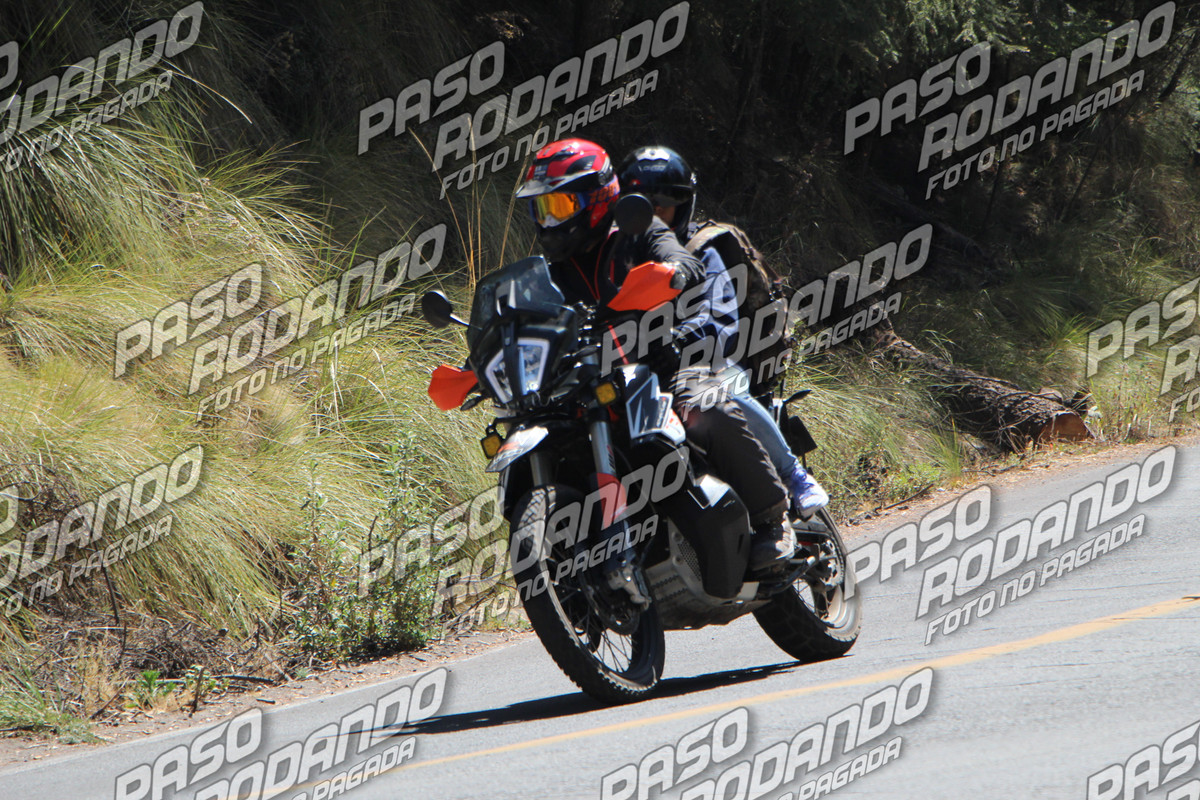 IMG 9278 wm 187706 80000000028 watermarked — Postimages